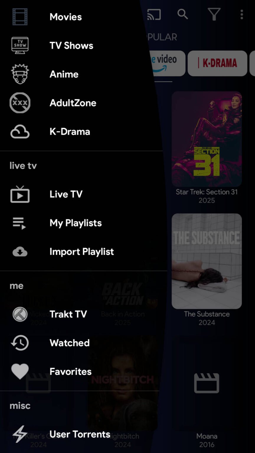 Flix Vision App [APK] Download Latest Version 3.1.0r [2025]